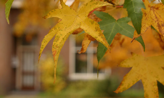 7 Steps To Prepare Your HVAC System For Fall